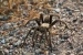 Death Valley Photos - Pictures of Death Valley National Park - Gary ...