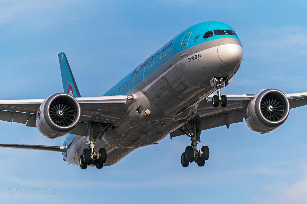 Arriving On A Jet Plane Spotting at LAX - Gary Crabbe - Enlightened ...