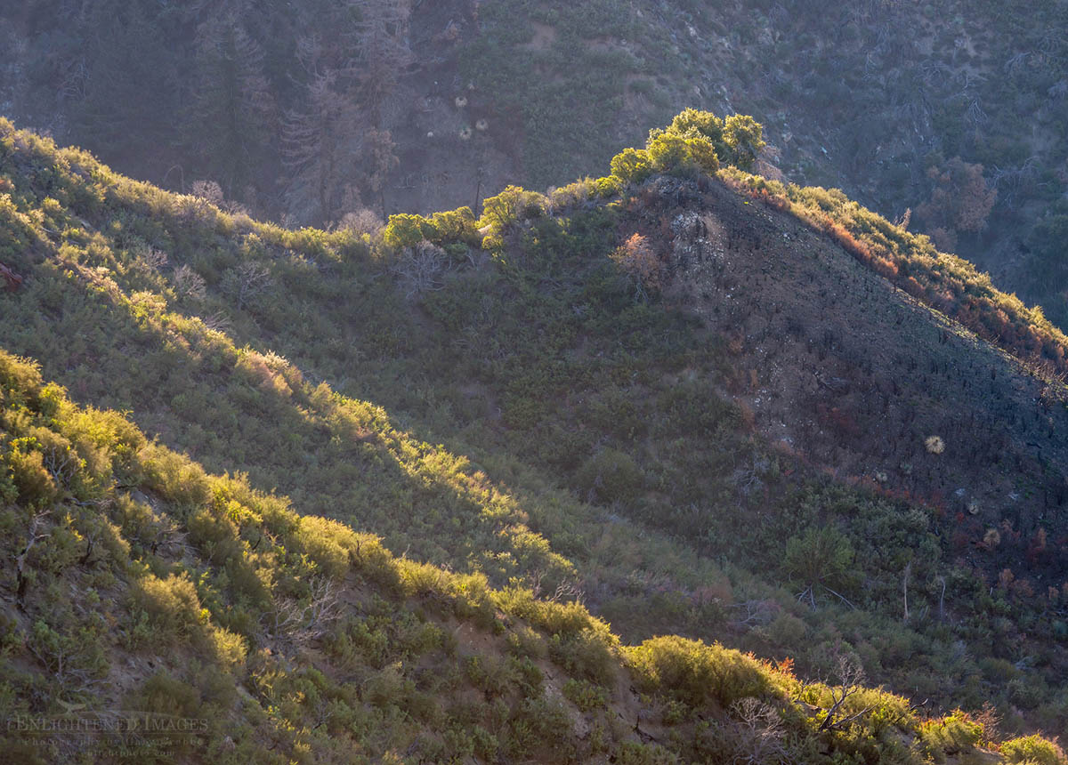 The San Gabriel Mountains National Monument - Photos from a recent ...